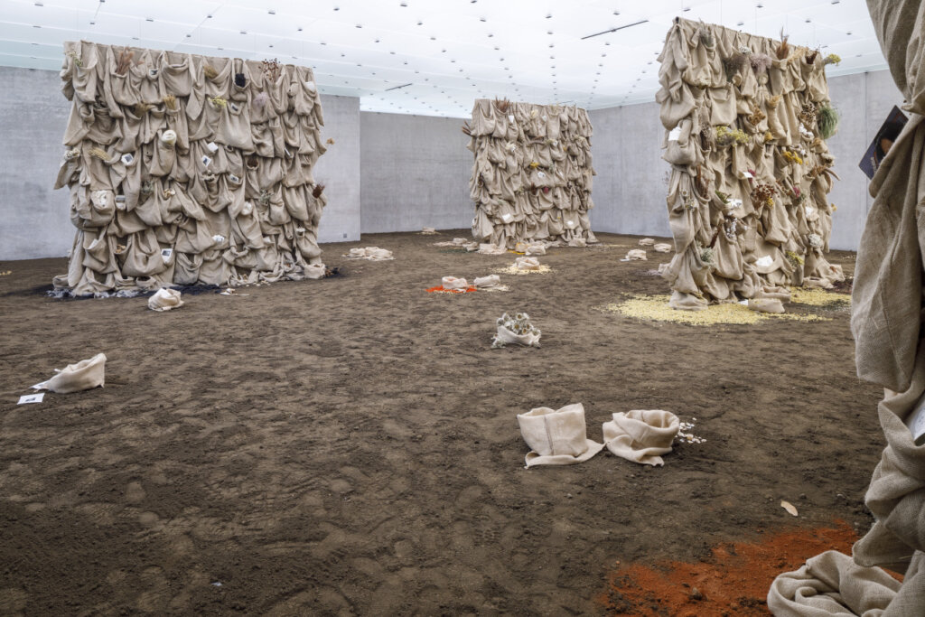 ‘Mythic and Dramatic, Somber and Troubling’: Solange Pessoa on How ...
